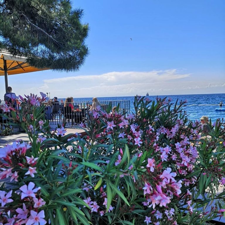 Capodistria – Koper : guida di viaggio | SLOVENIA Segreta